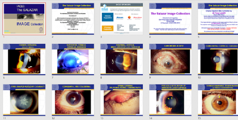 IACLE Image Library – IACLE
